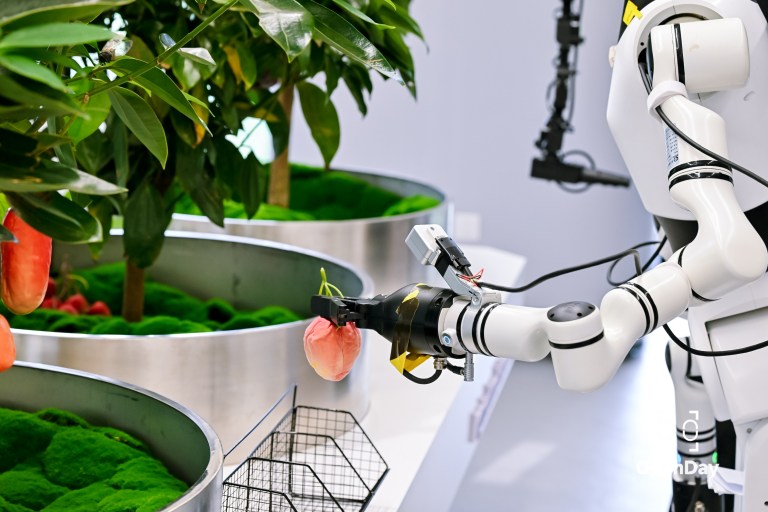 RealMan Robotics establishes Humanoid Robotics Data Training Center in ...